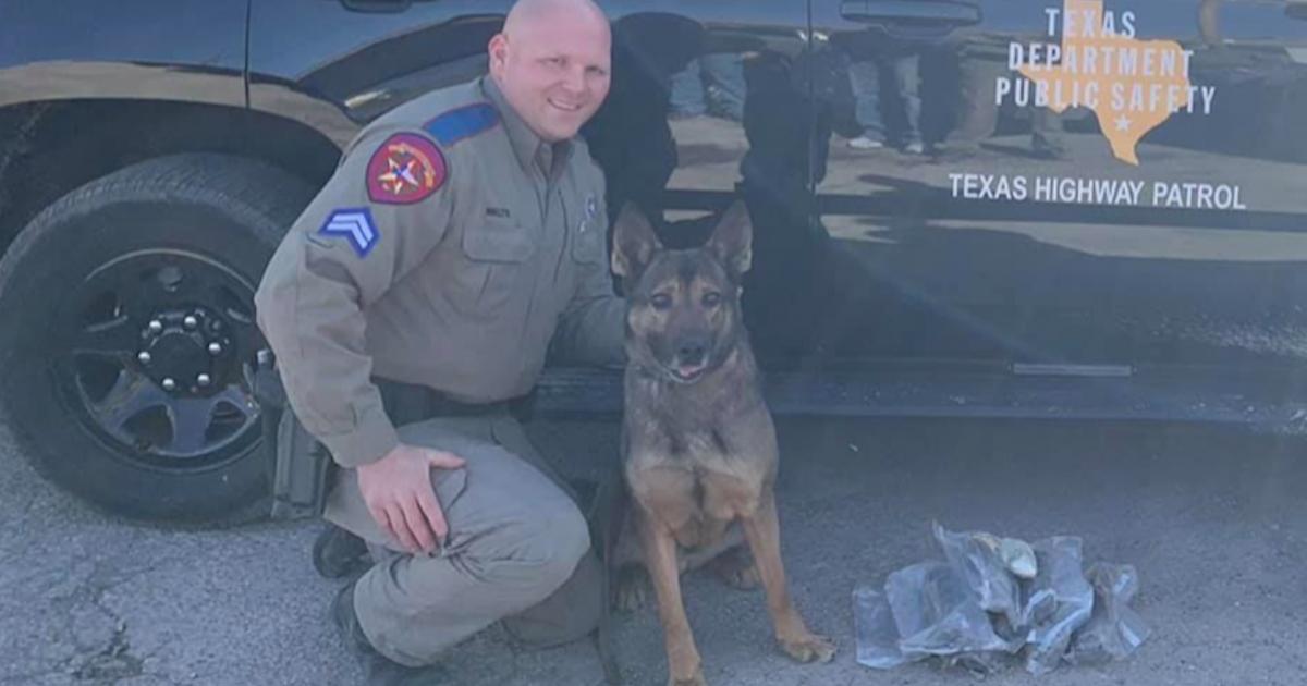 DPS K-9 Finds Large Shipment of Meth North of San Angelo