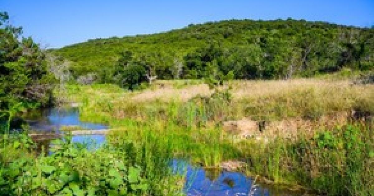 TPWD Launches Updated Paddling Trail Website