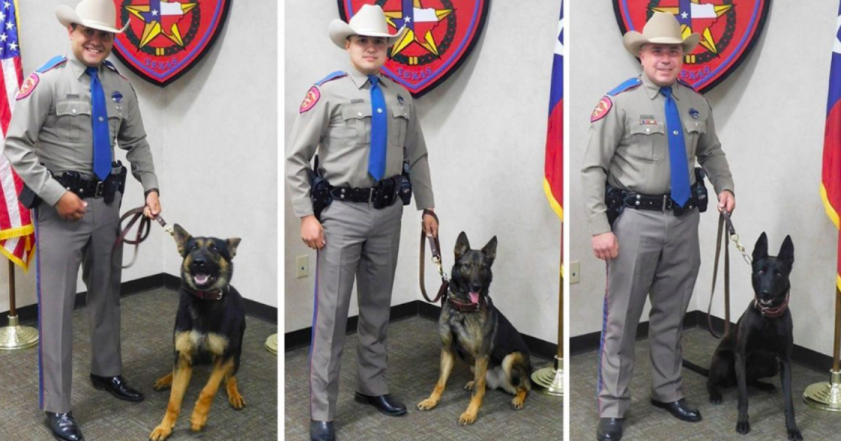 Texas Department of Public Safety Welcomes Three New K-9 units