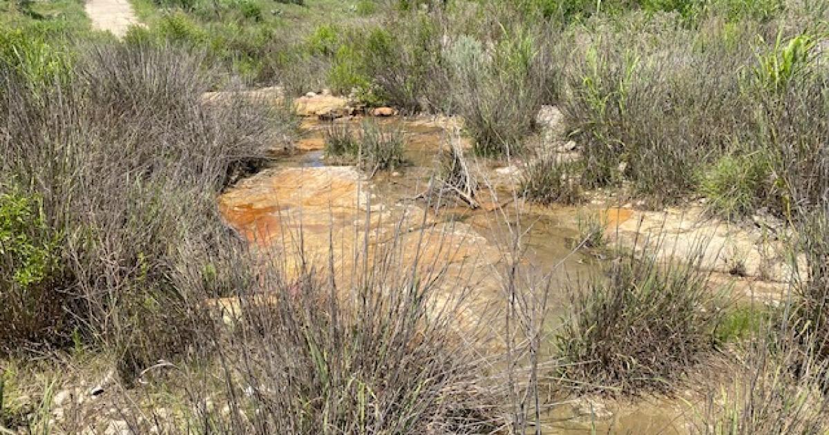 WATCH: Recent Rains Have North Concho River Flowing