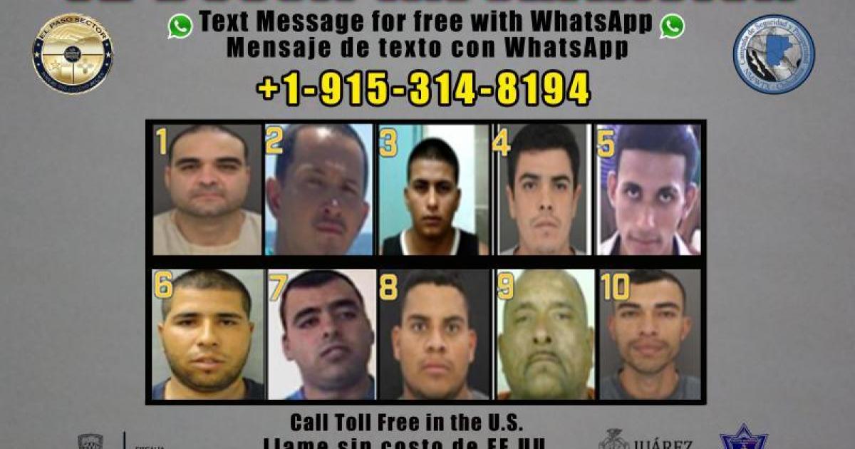 U.S. and Mexico Team Up to Fight Drug Cartels