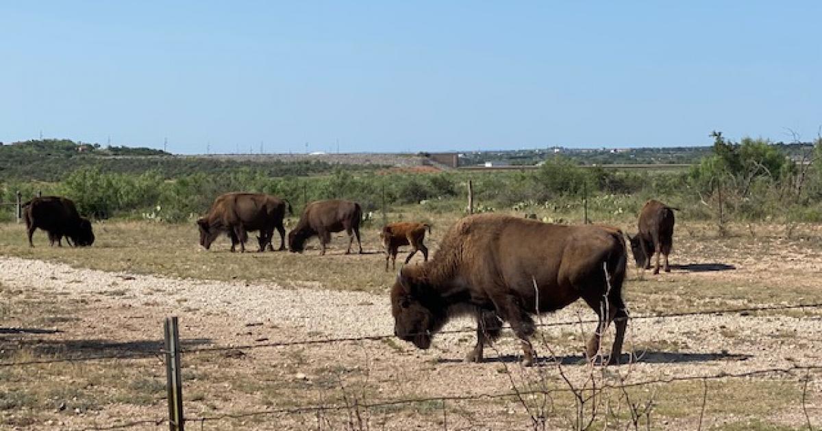 San Angelo State Park 'Centennial' Celebration Saturday Packed with ...