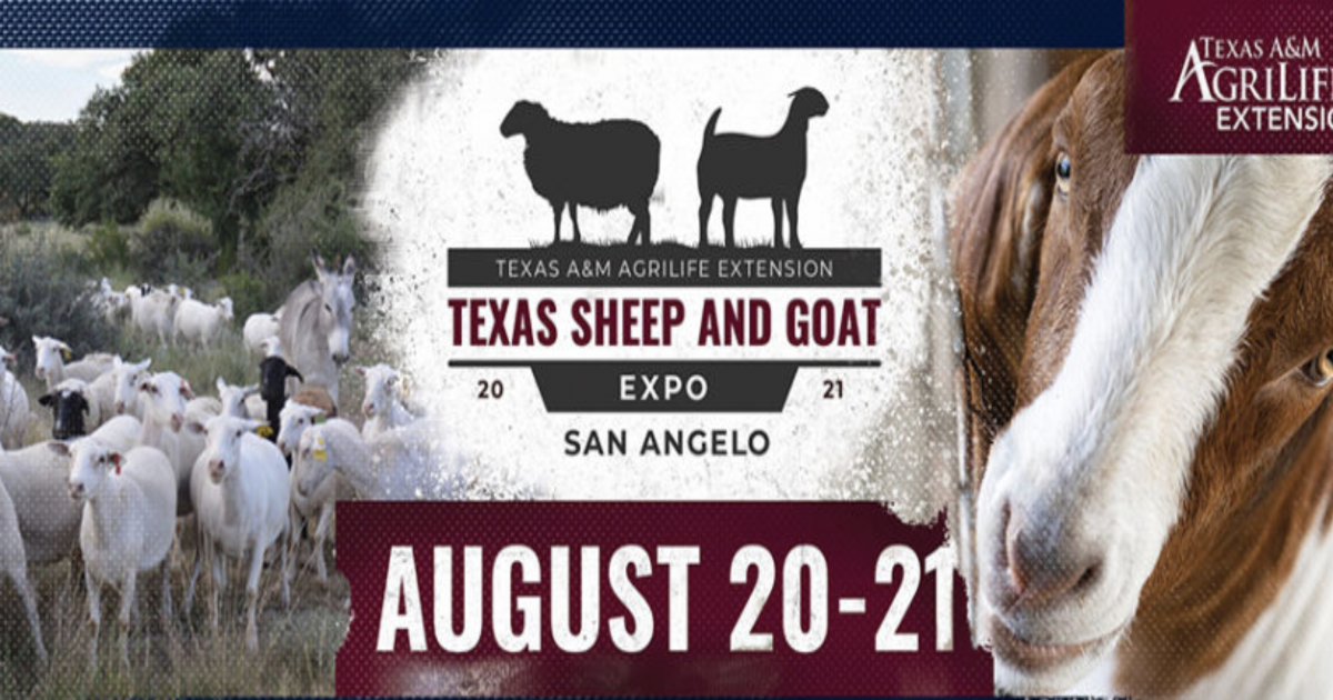 Texas A&M AgriLife Extension Service 2021 Texas Sheep and Goat Expo ...
