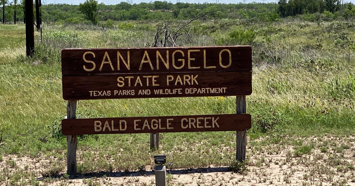 Registration for Dove Hunting at the San Angelo State Park Opens Next Week