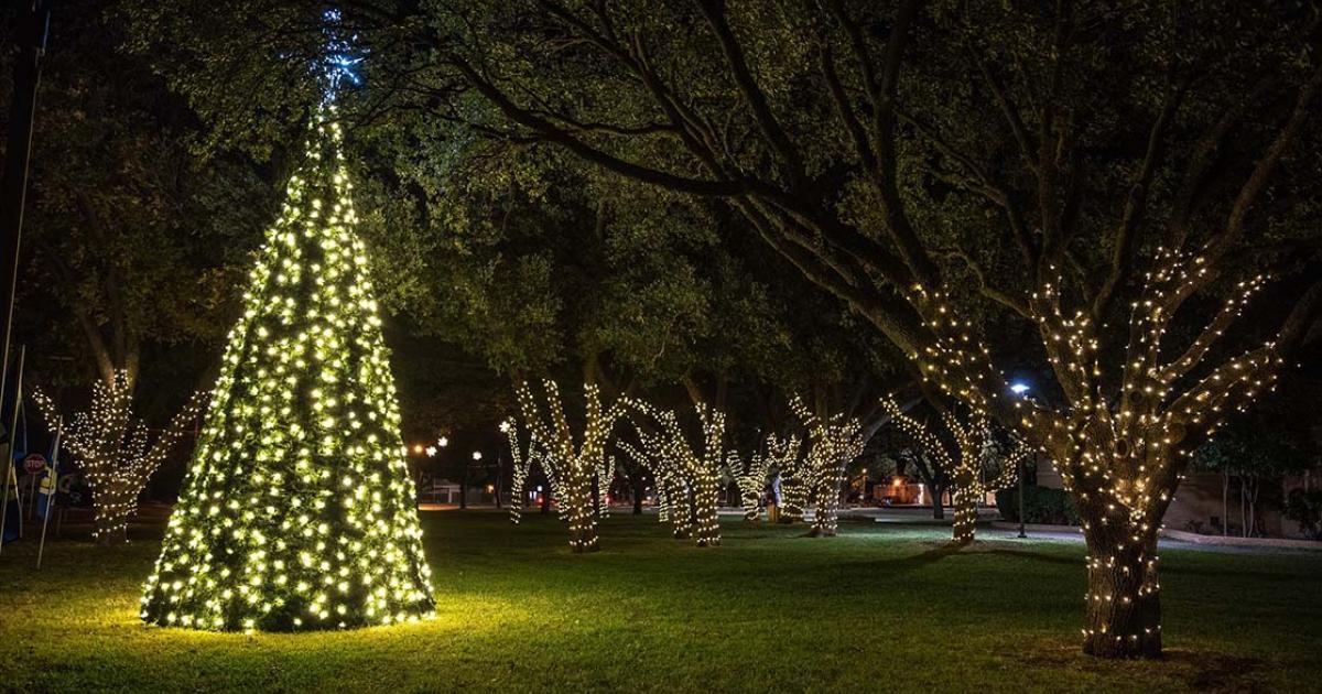 ASU To Host Family Friendly Activities During Next Week's Christmas ...