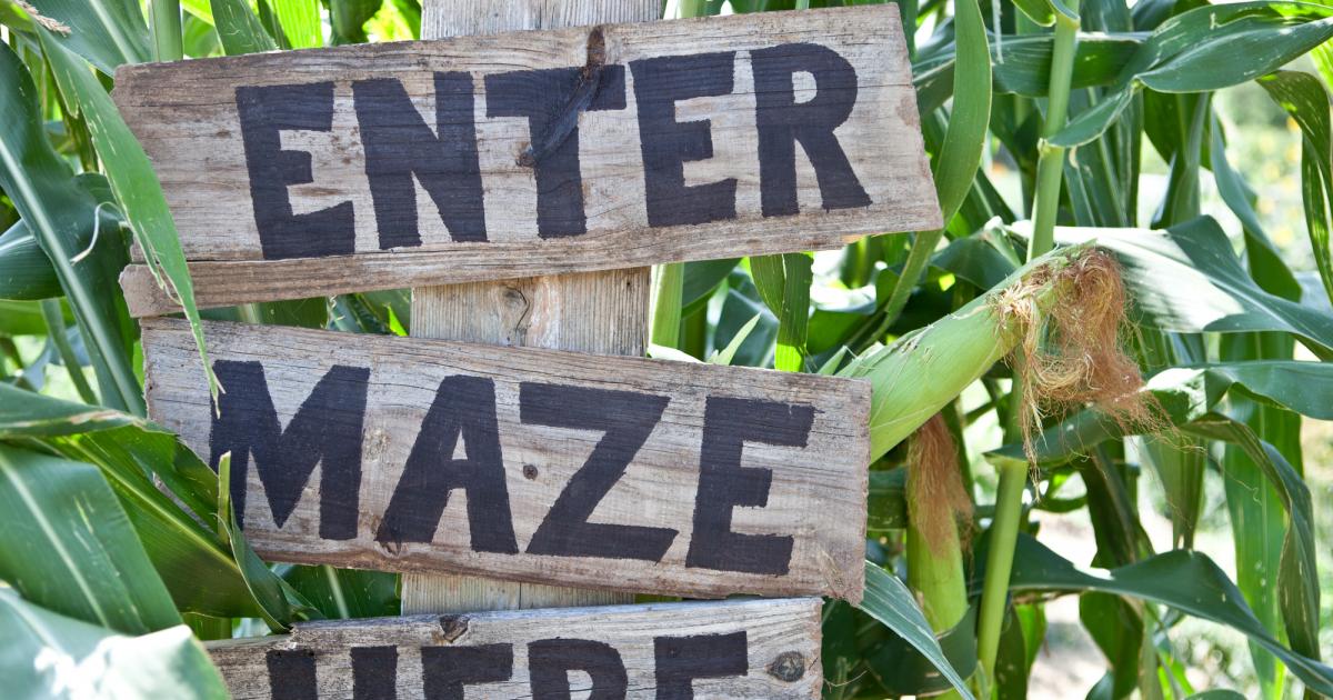 The Concho Valley's Favorite Corn Maze Announces 2022 Design