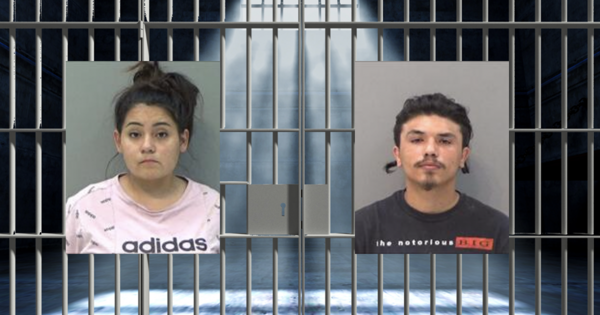 Couple Charged with Cruelty to Animals in Feces Smeared, Roach Infested ...