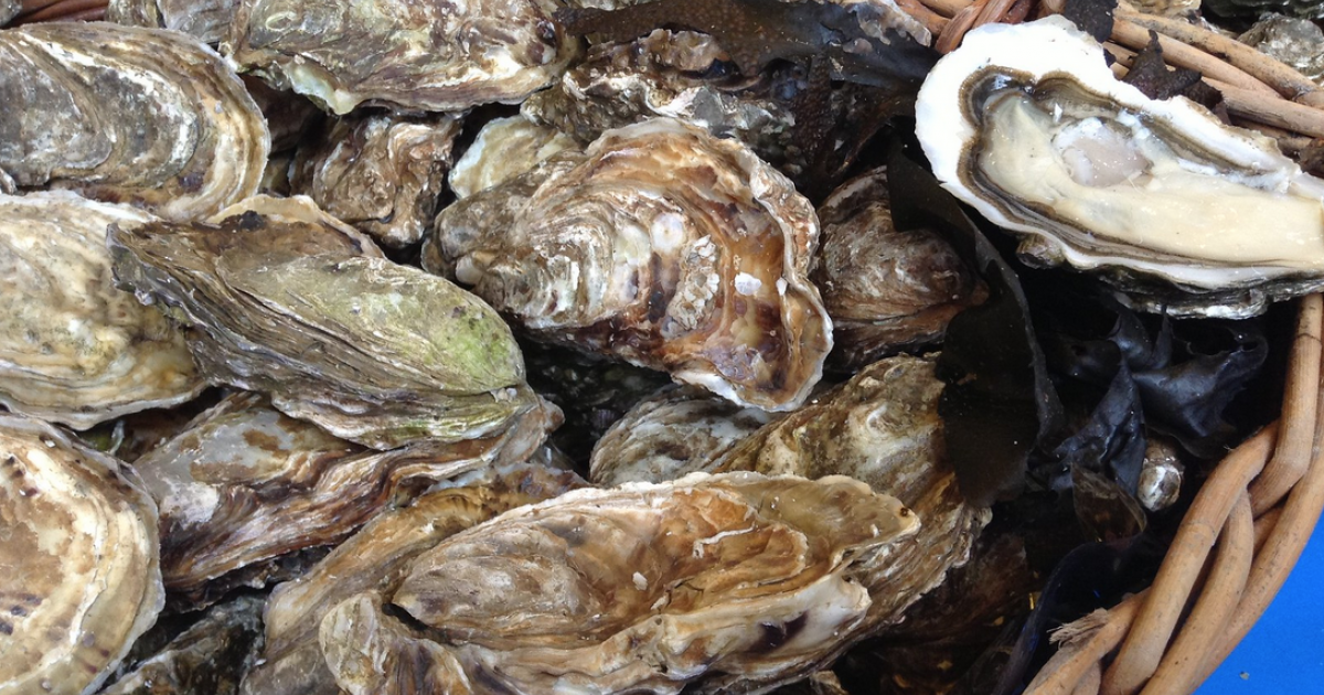 20 of 29 Texas Shellfish Harvest Areas Closed as Season Starts