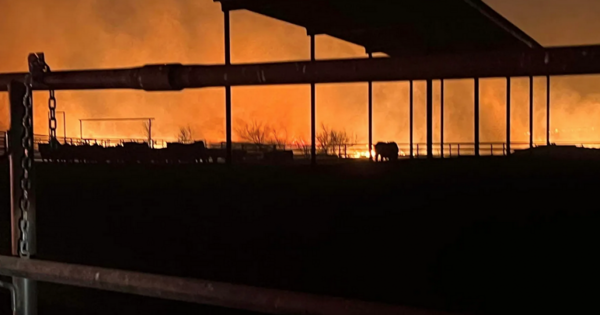 Big Country Wind Driven Wildfire Brought Under Control Overnight