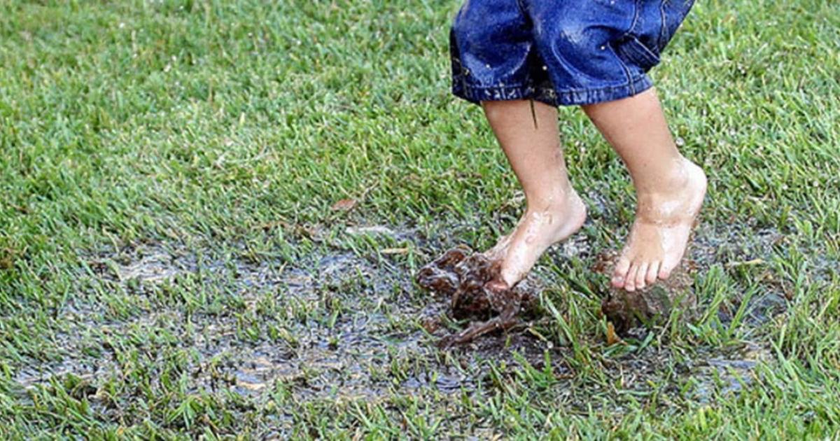 Clueless Biden Administration Signs Off on Regulating Water in 'Puddles ...