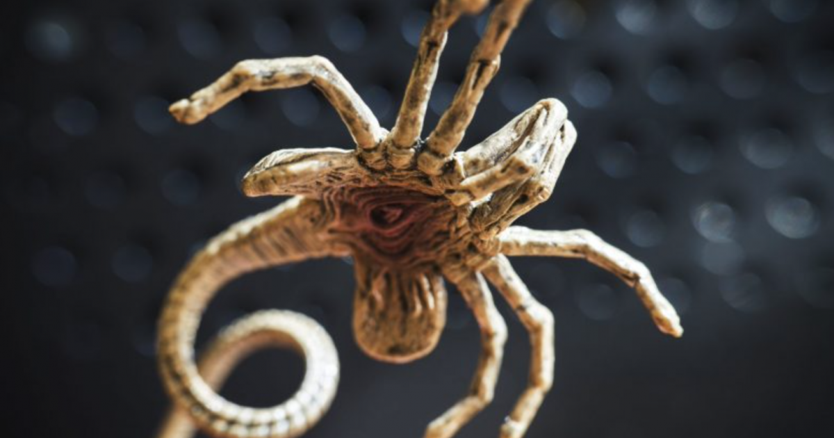 Invasive Species Week Reminds Outdoorsmen to Battle the Aliens