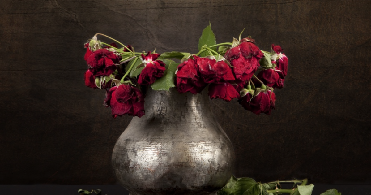 Valentine's Day Massacre: Diseased Flowers from Mexico