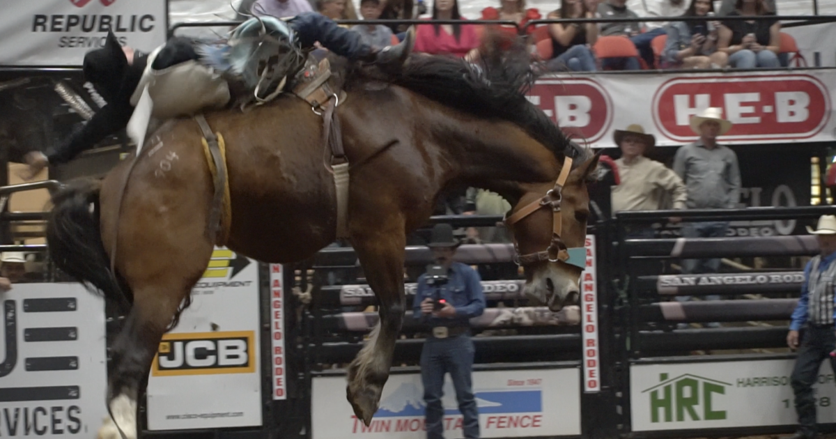 Hayes Wins Another Angelo Title