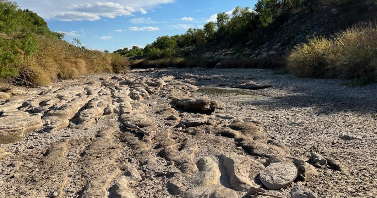 WATCH: Runoff Transforms Bone-dry N. Concho River Into Oasis in State Park