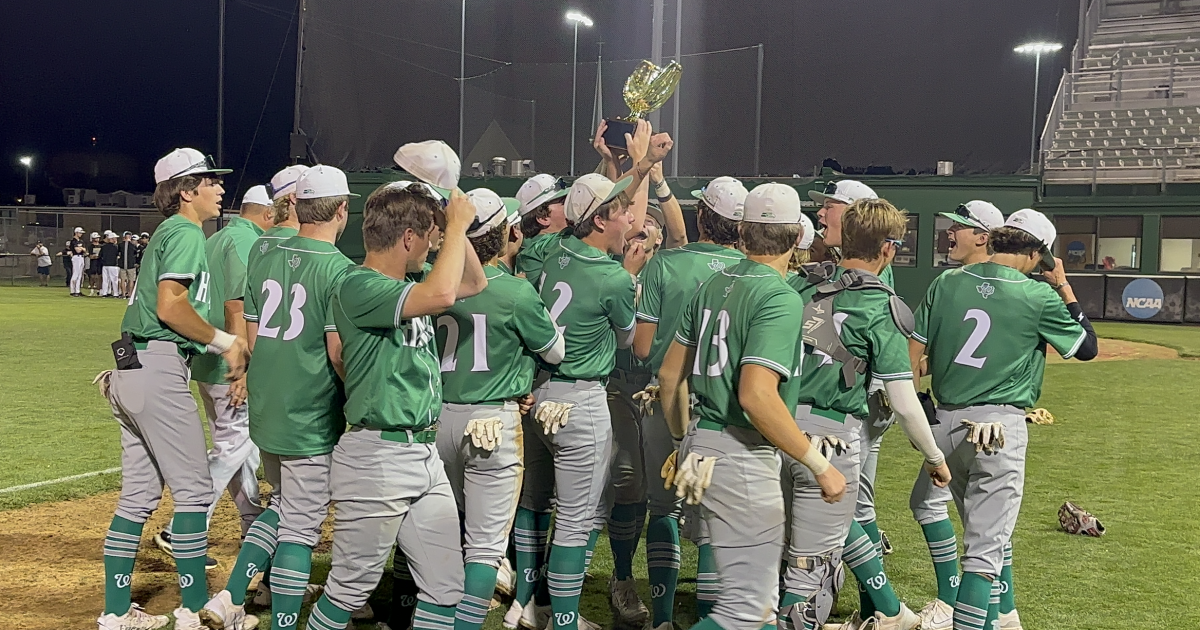 Wall Hawks Baseball Pummel Brady to Advance