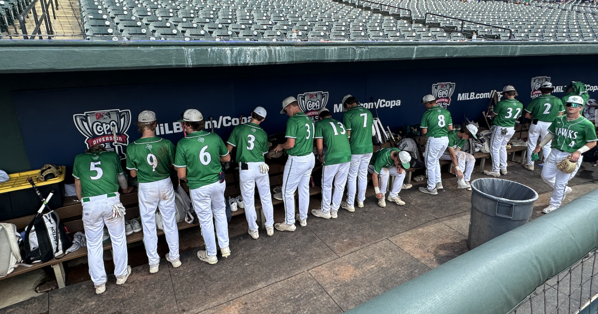 Wall Baseball Slugger Makes THSCA Elite Super Team