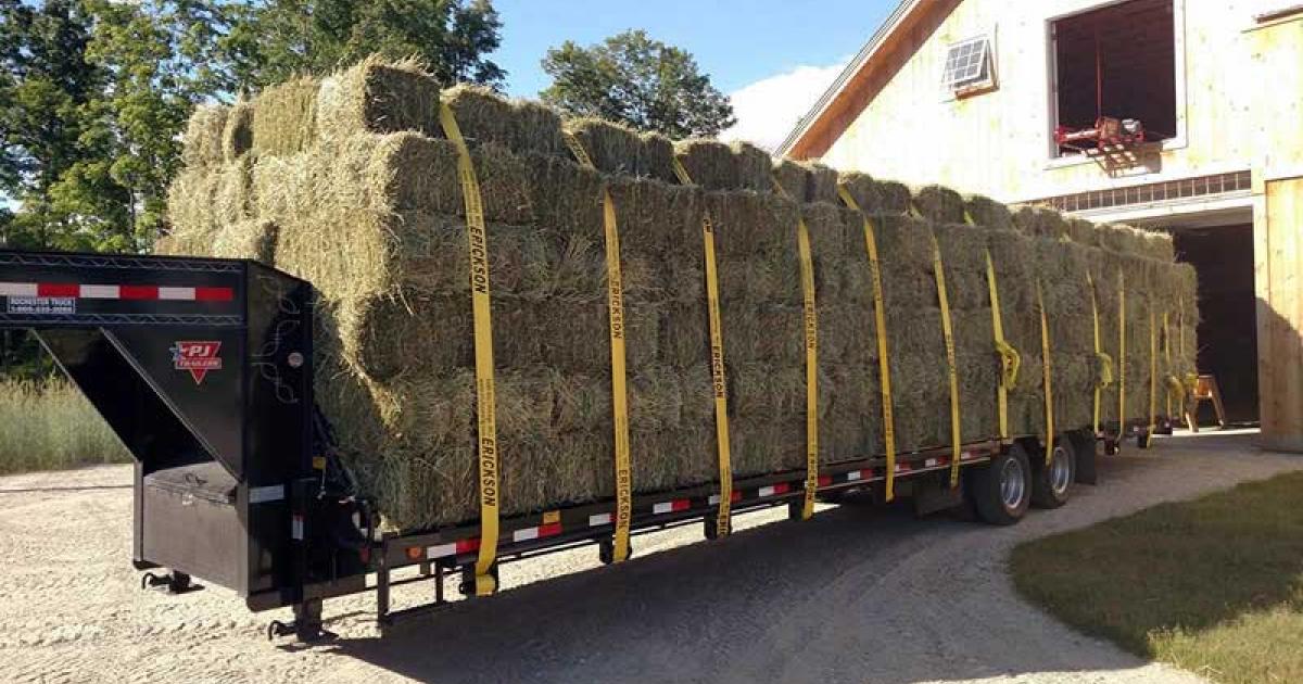 Cartel Coyotes Smuggle Illegals in Bales of Hay