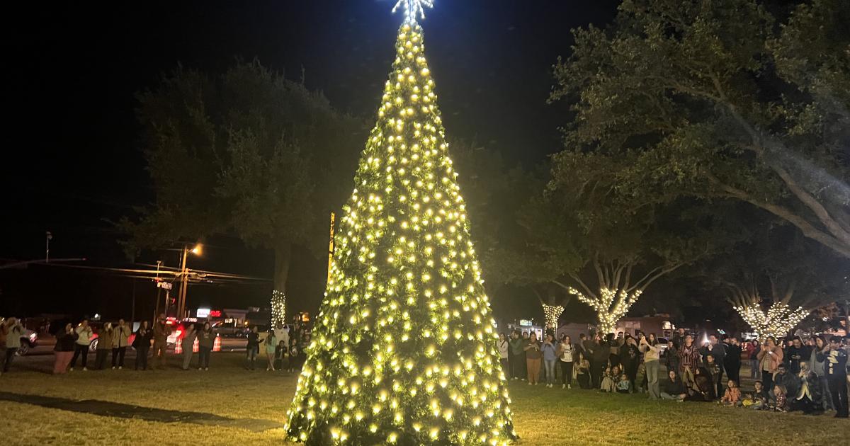 Crowds Throng to Festive ASU Christmas Tree Lighting
