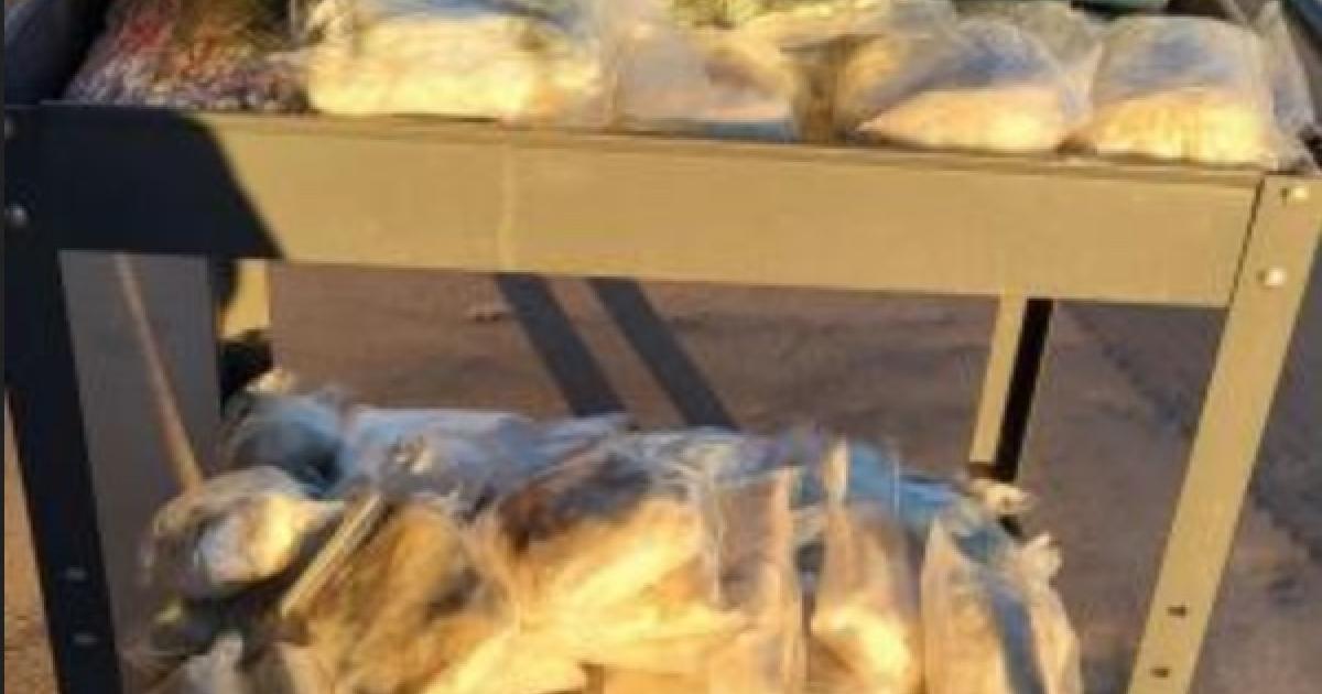 Mexican Cartel Mule Caught With Full Load of Drugs at Antelope Wells