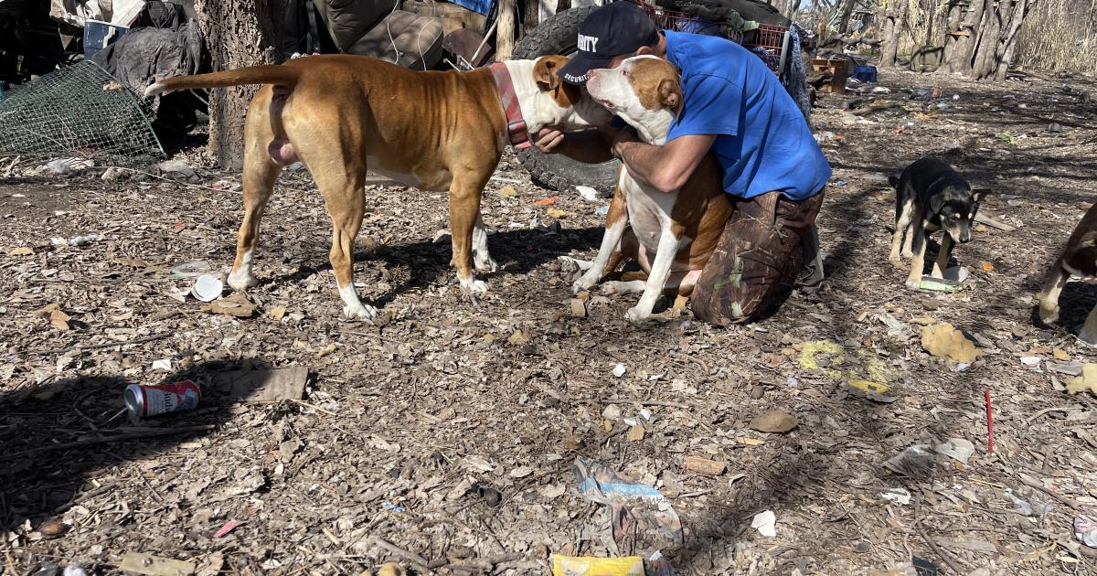 Pets & Stray Dogs Compound Problems at San Angelo Homeless Camp