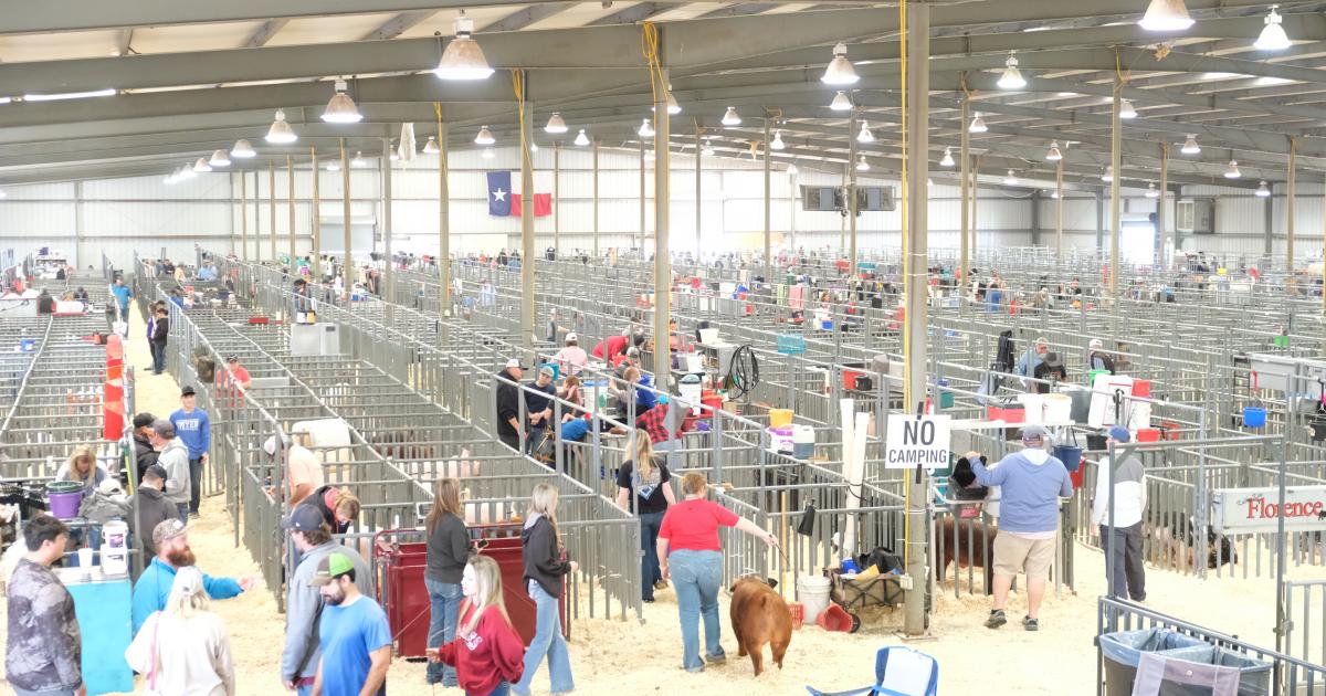 San Angelo Stock Show in Full Swing Out at the Fairgrounds