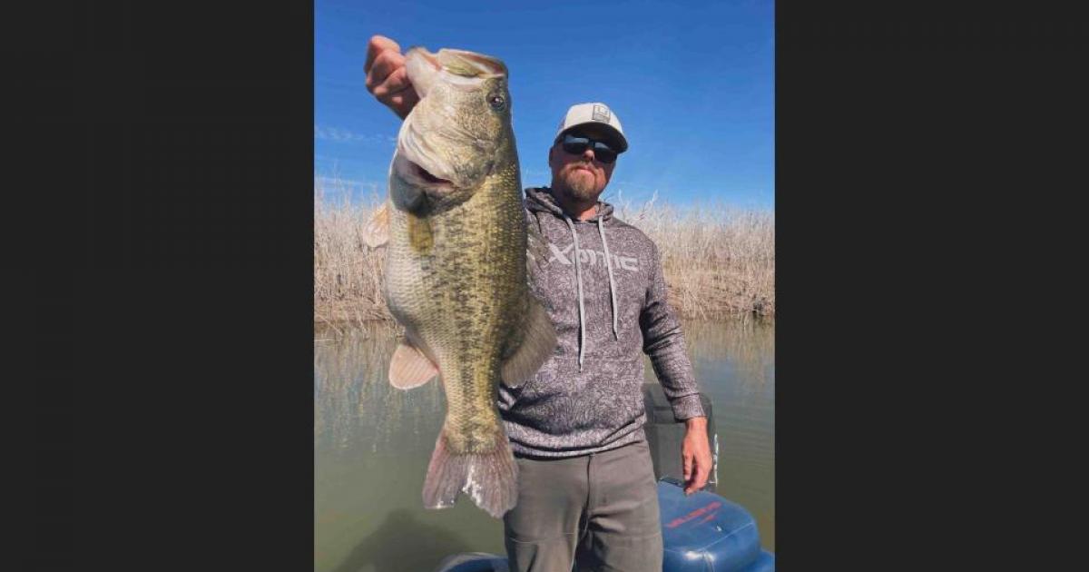 Angler Lands Sixth O.H. Ivie ShareLunker of '24