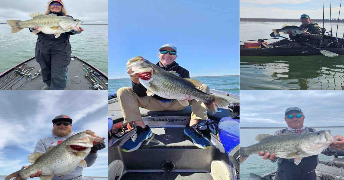 Who Thinks They Can Catch the Biggest Fish?