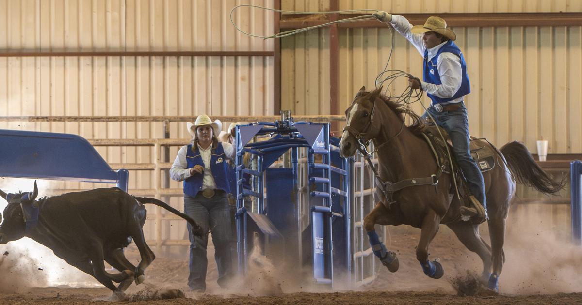 Local Team Roper Heading to College Rodeo Nationals