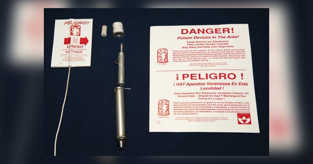Pfluger Pushes to Lift Ban on M-44 Cyanide Bombs