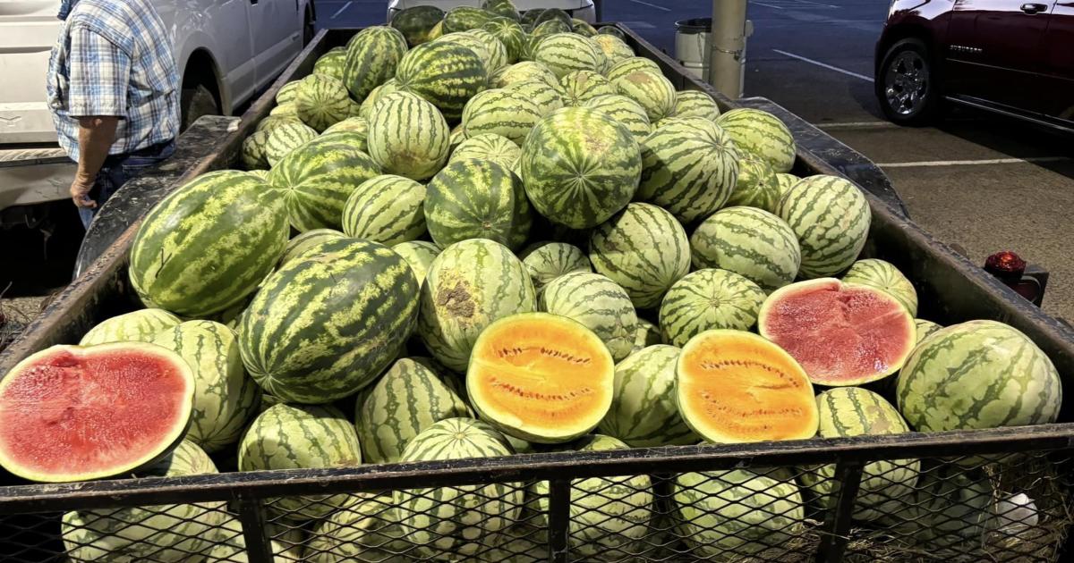 Melon Fest at the Farmer's Market is this Weekend