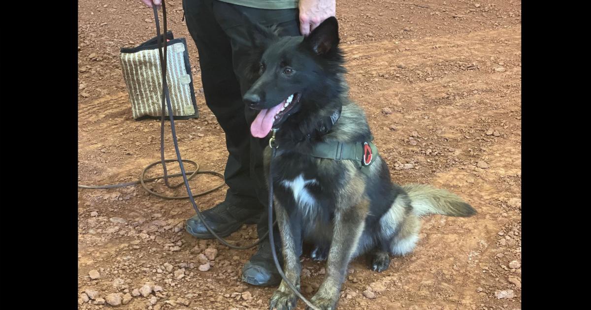 Abilene PD K9 Teams Receive Awards and Introduce Newest Member