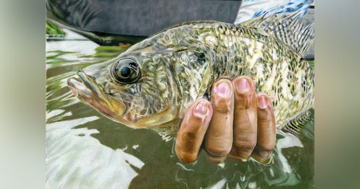 2025 Texas Fish Art Contest Opens for Entries