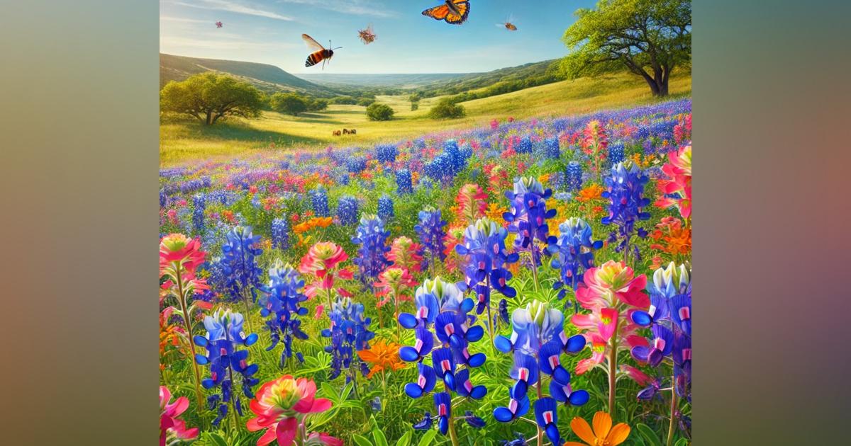 Spring Into Action by Planting Native Wildflower Seeds in the Fall