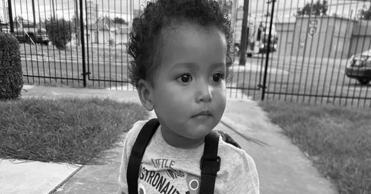 Texas Woman Arrested After Dogs Kill Toddler