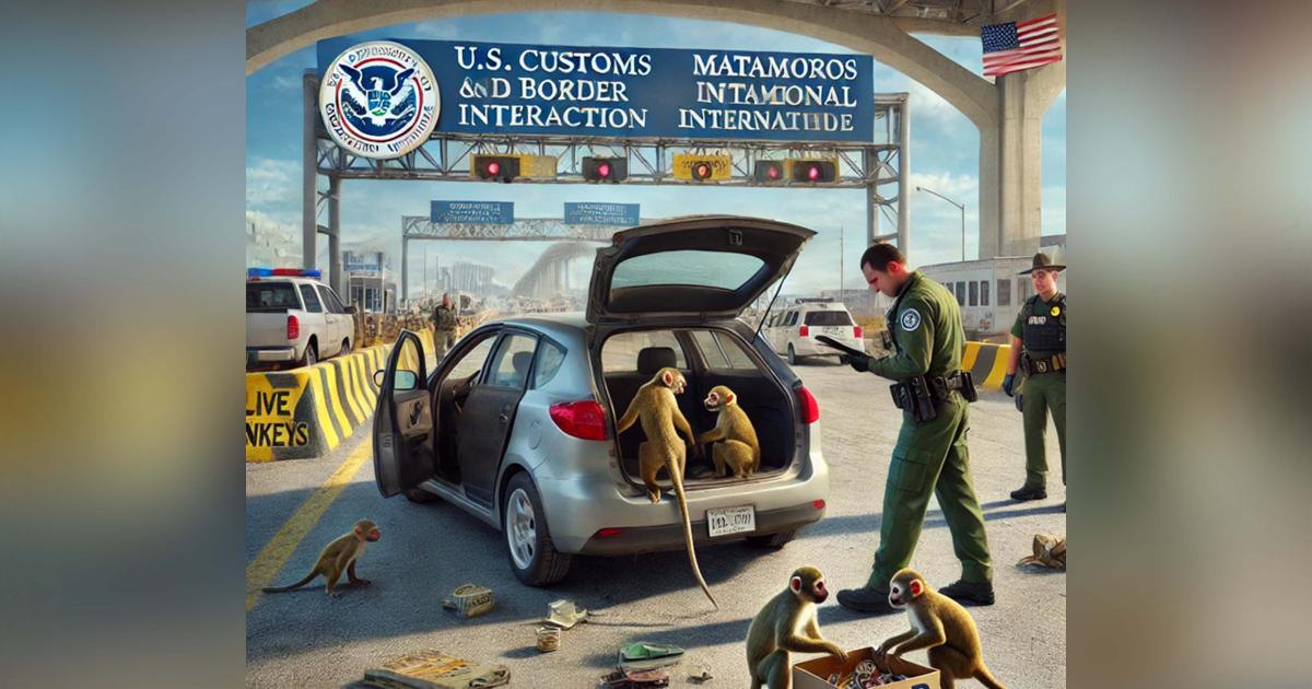 CBP Finds Live Monkeys Hidden in Vehicle at Texas Border Crossing
