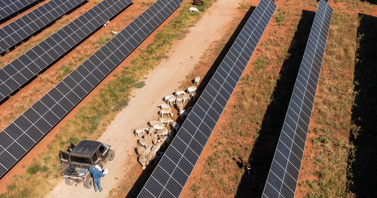 San Angelo-Area Contractor Sues Over Failed $250K Gravel Deal for ...