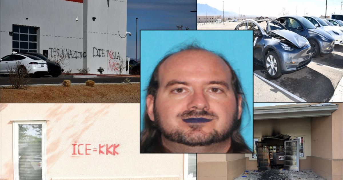 Lipstick-Wearing Arson Suspect Charged in Attacks on Tesla Dealership ...