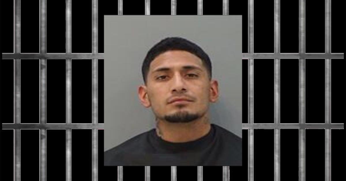 Man Arrested After Pit Bull Puppy Found Dead in Burglary Investigation