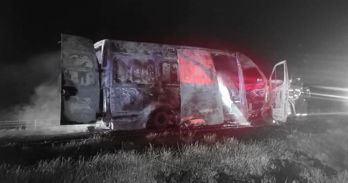7 Adopted Dogs Killed in Van Fire En Route From Texas