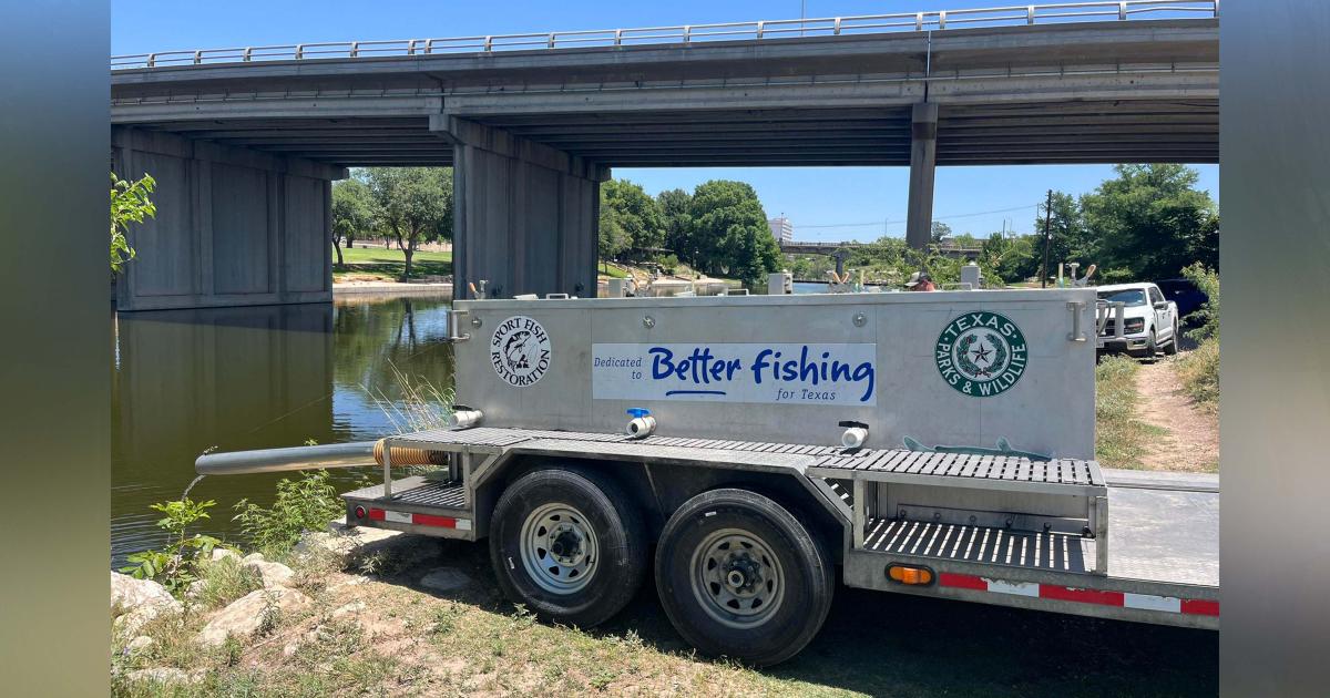 600 Catfish Stocked Ahead of San Angelo Youth Fishing Derby