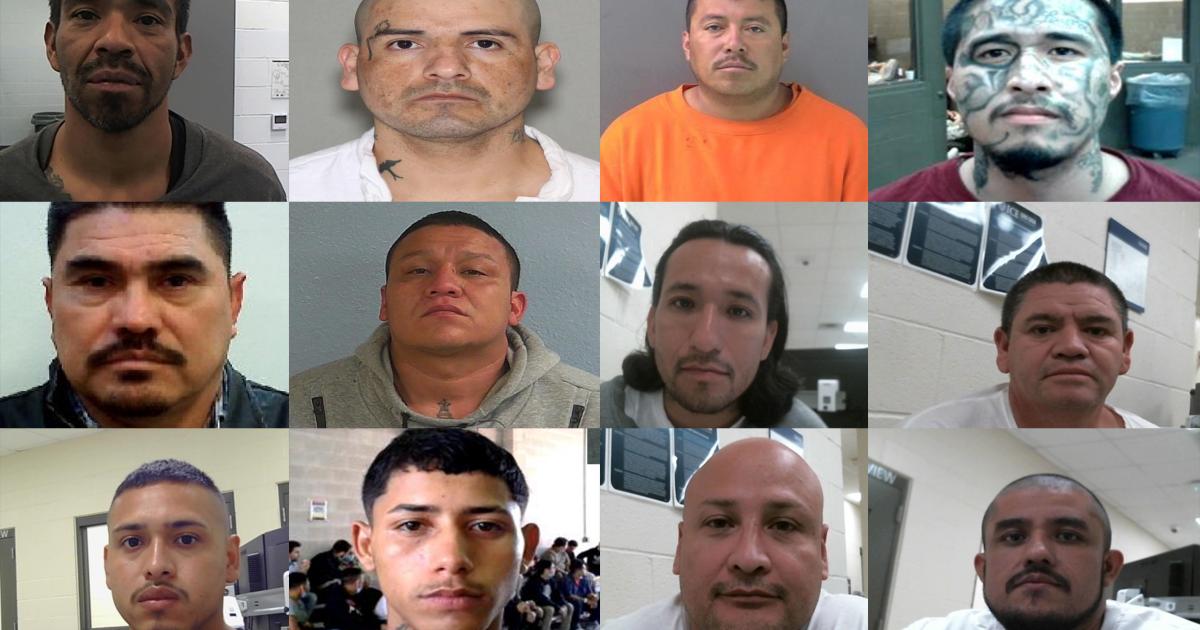 ICE Arrests 356 Gang Members in Texas