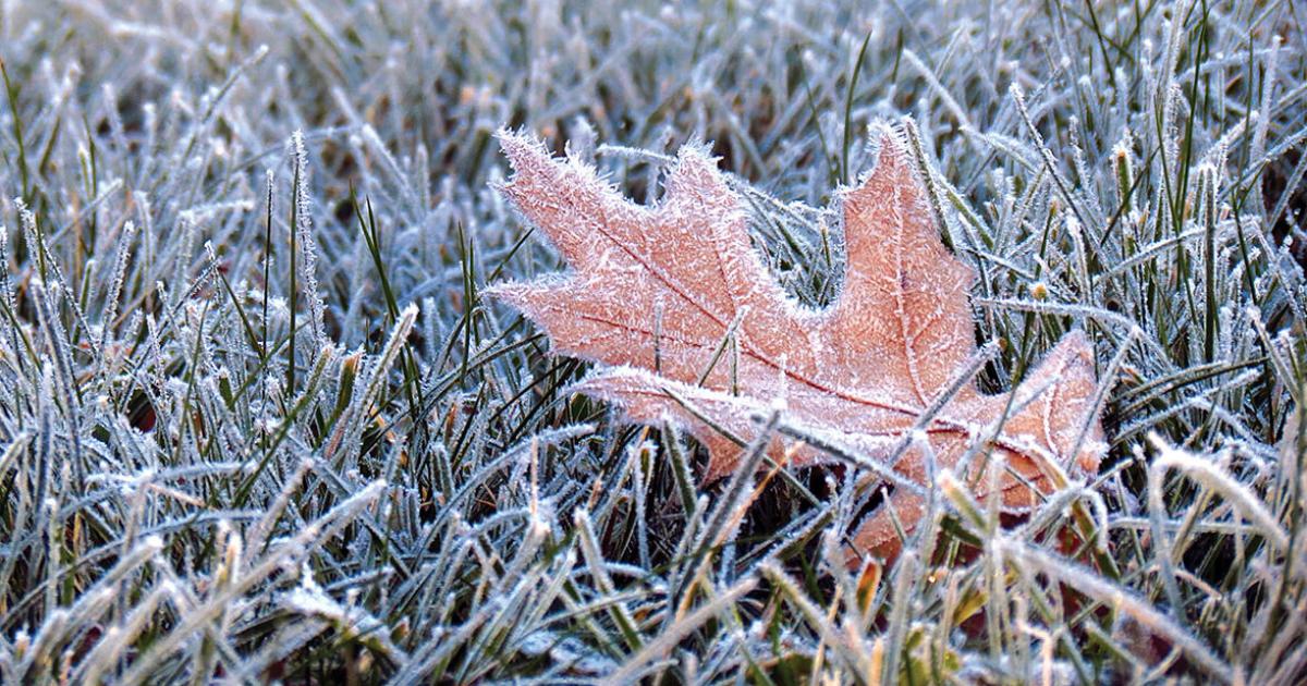 Gusty Winds and Cold Front to Bring Fall Chill, Possible Frost to West ...