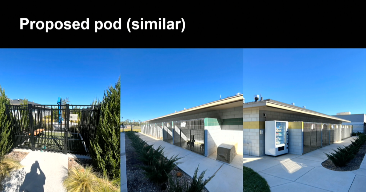 Council Moves Forward With Pod-Based Rebuild of Animal Shelter Kennels