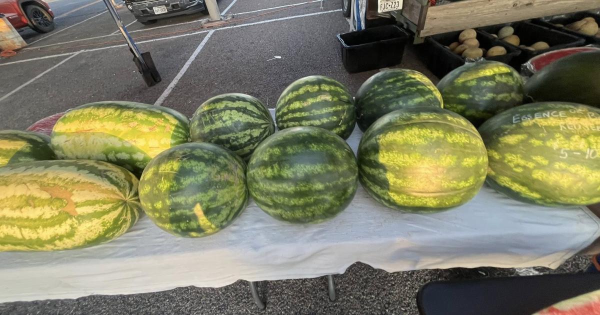 Concho Valley Farmer’s Market Reopens After 7-Month Break