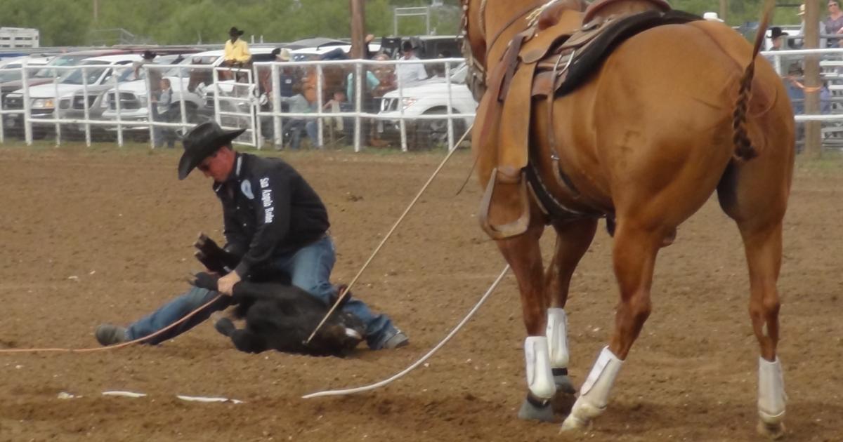 Historic Cinch Roping Fiesta Swings into High Gear Saturday
