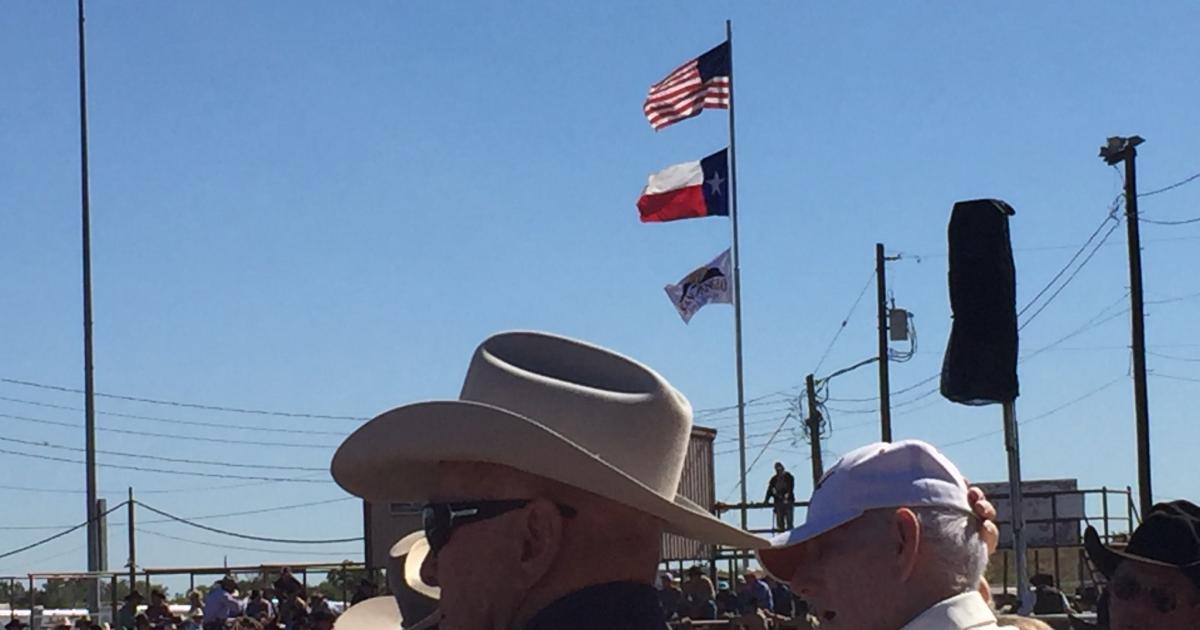Watch: Ropers and Spectators Enjoy Near Perfect Weather at the 66th ...