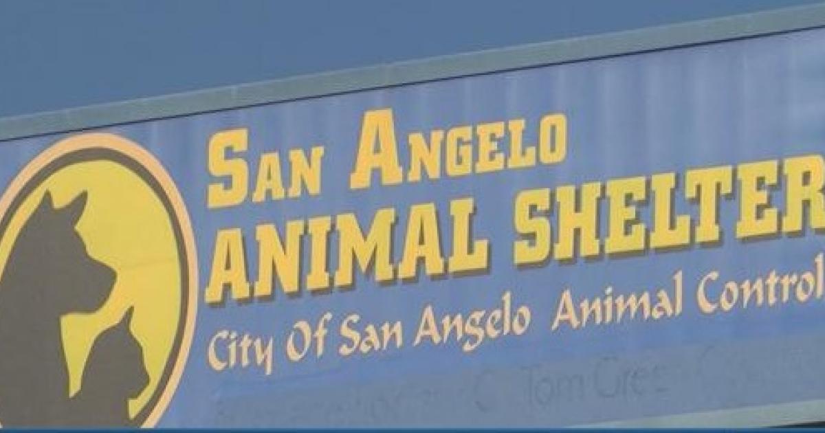 Here's Why San Angelo Animal Services is Closed Thursday