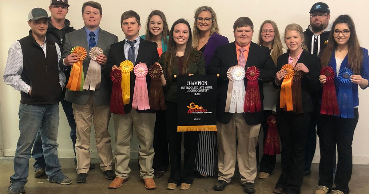 Angelo State Wool Judging Team Earns First Place at San Antonio Rodeo