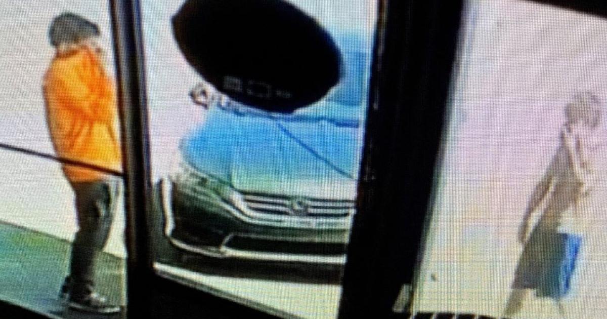 Do You Know These Car Theft Suspects?