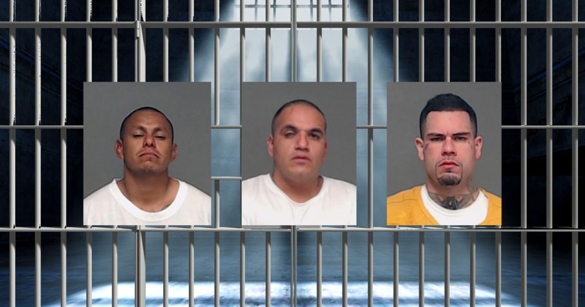Evading Arrest After Stealing a Car Tops Thursdays Booking Report
